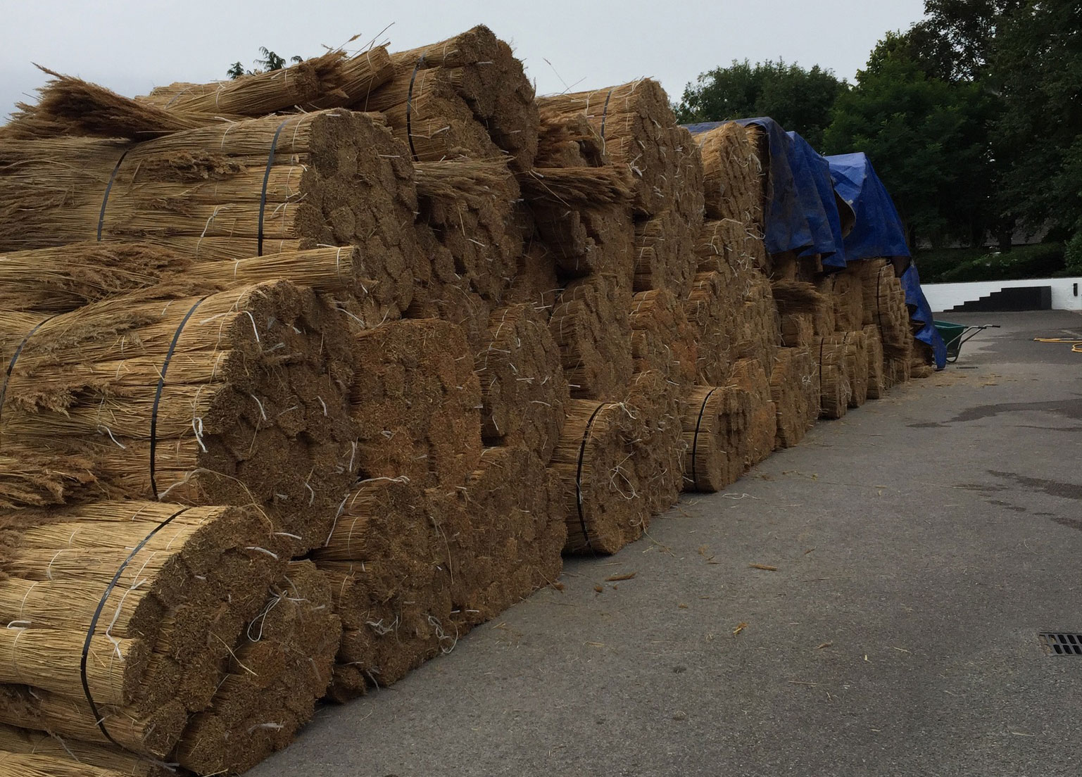 Types of Thatch - New Forest Master Thatchers